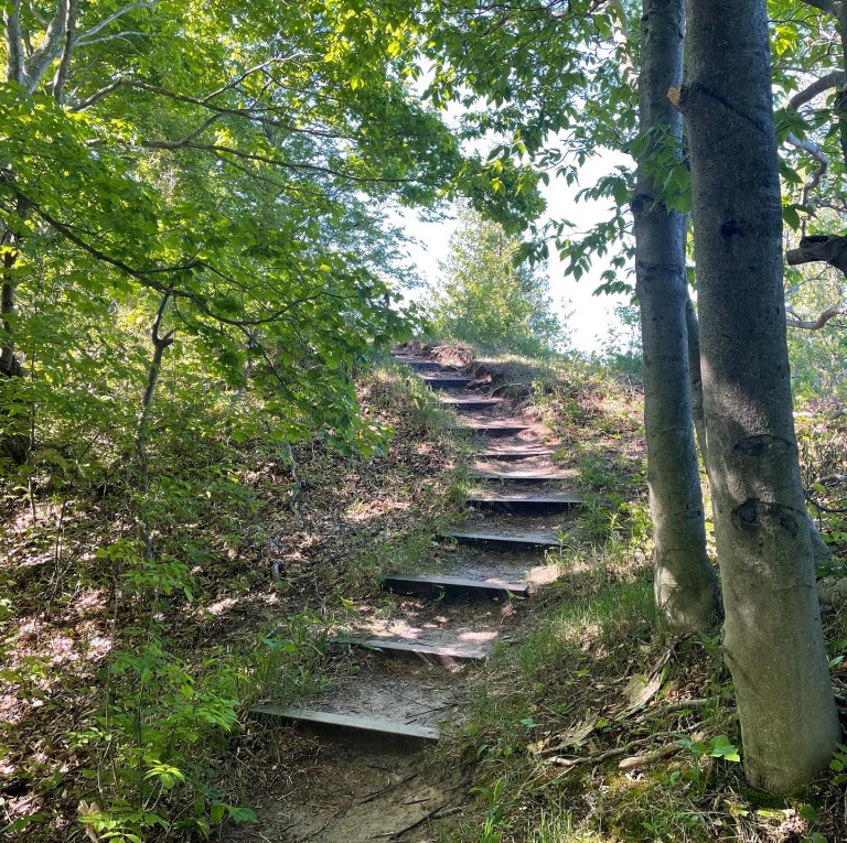 “Stufen/Steps” von/by Hermann Hesse – Bright, shiny objects!