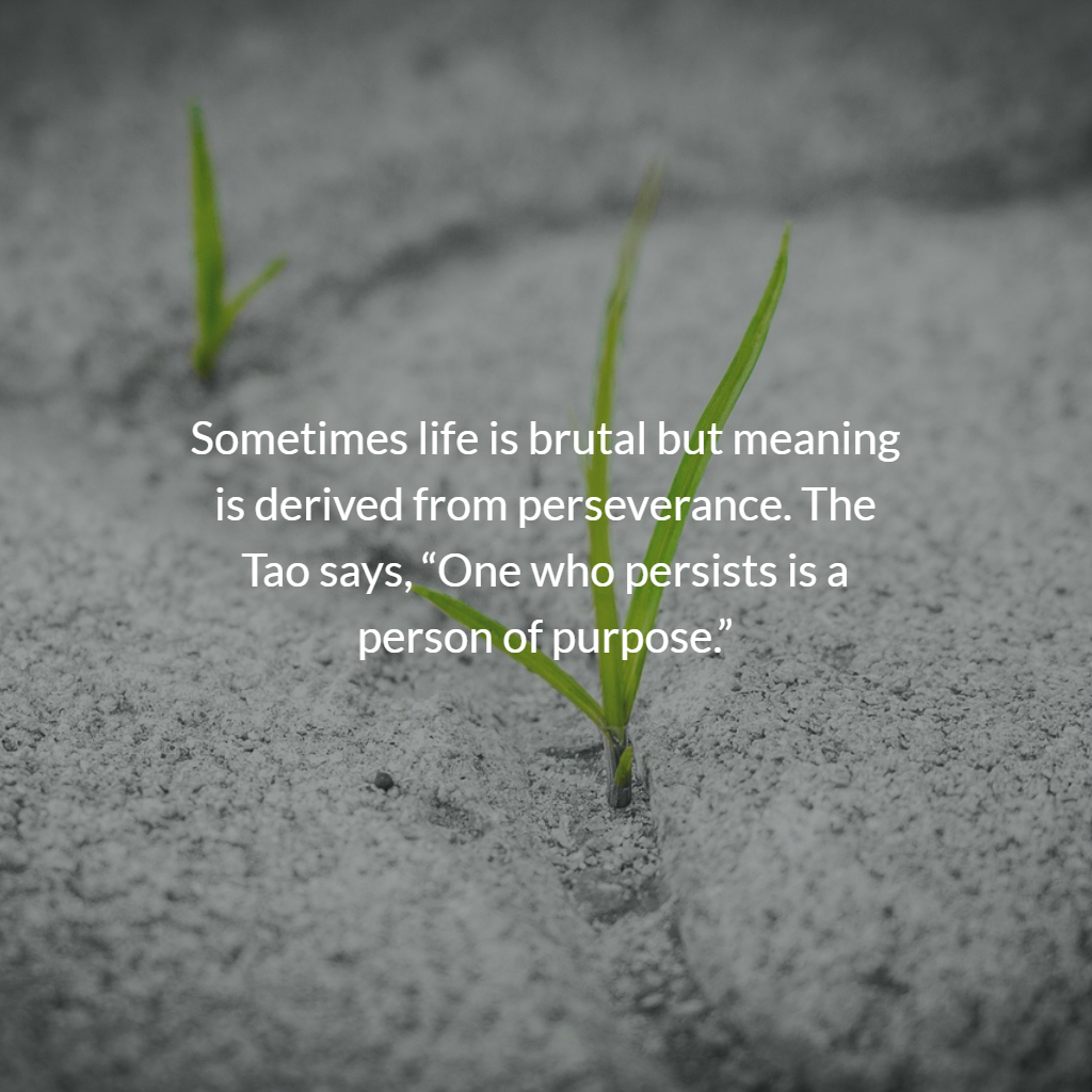 The Secret to a Meaningful Life is Simpler Than You Think – Bright, shiny objects!