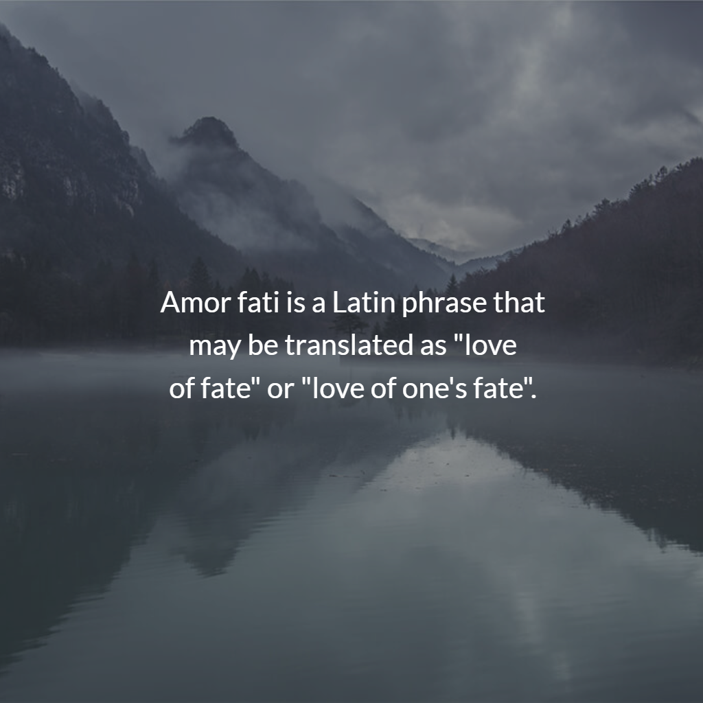 Amor fati – Bright, shiny objects!