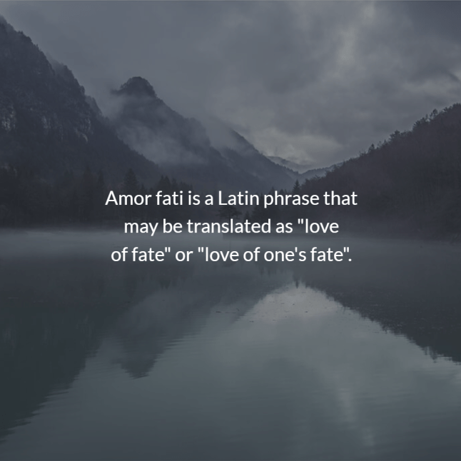 Amor fati – Bright, shiny objects!