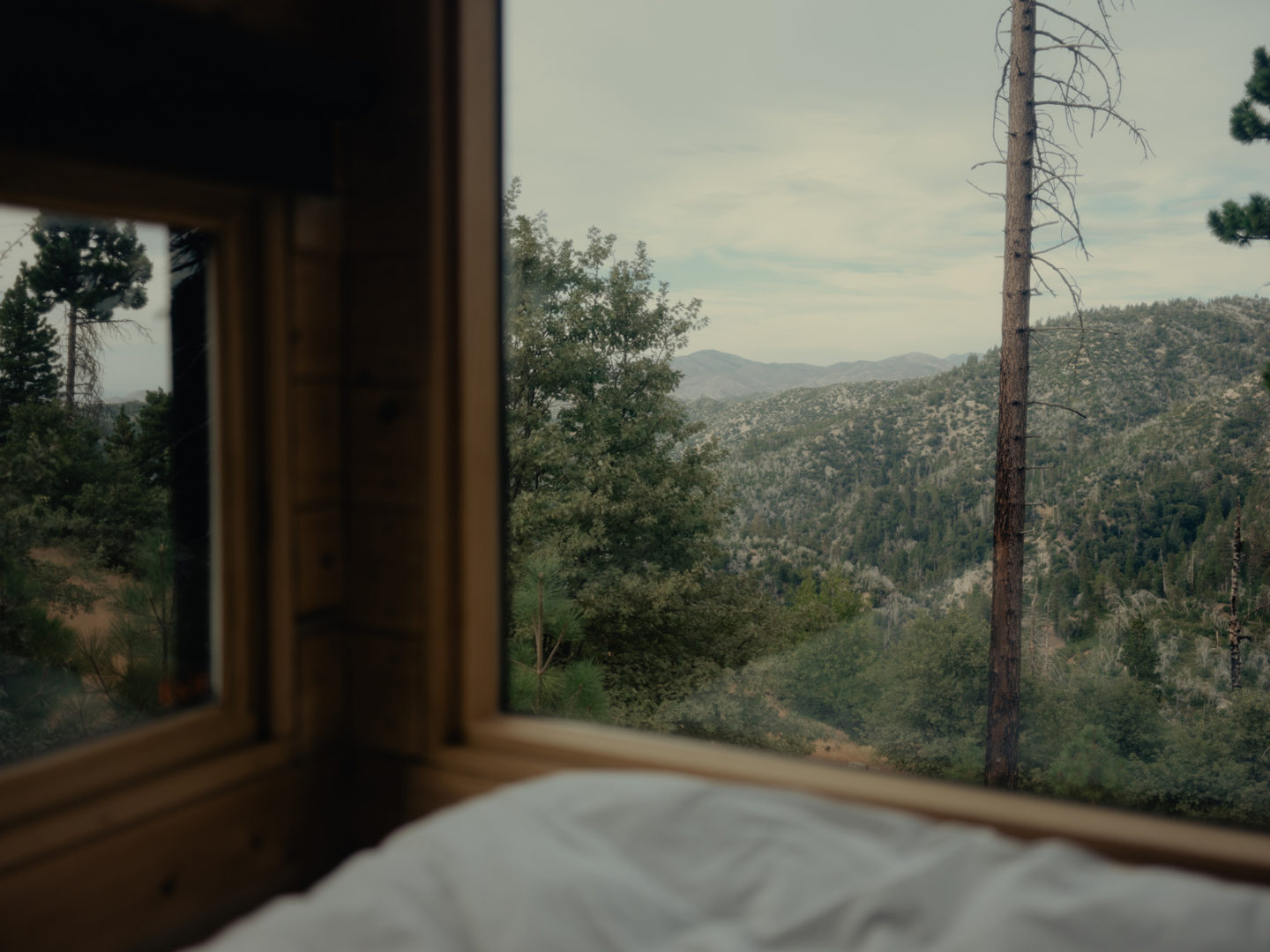 Conversation Starters – Bright, shiny objects!