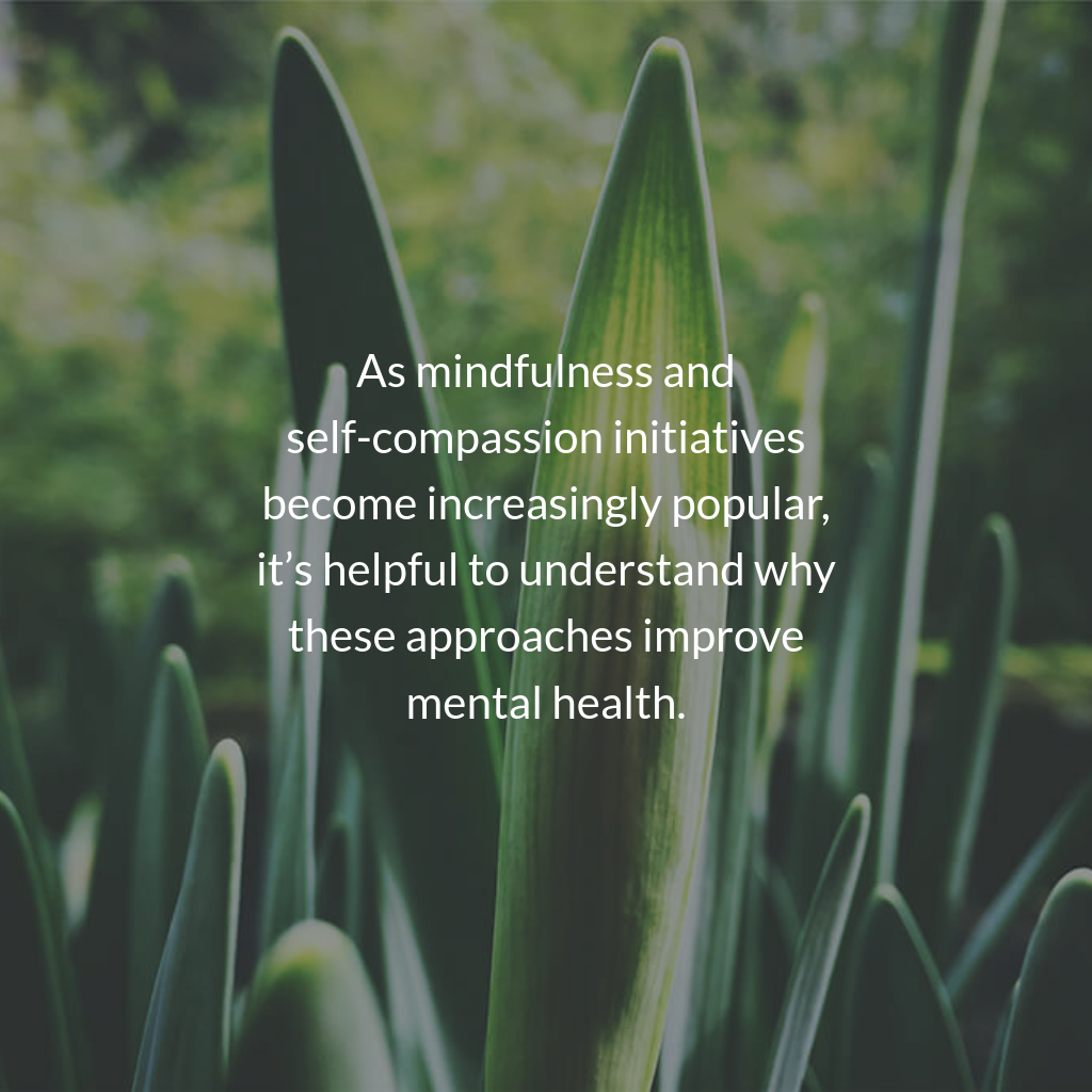 Mindfulness Vs. Self-Compassion: Which Matters More? – Bright, shiny ...