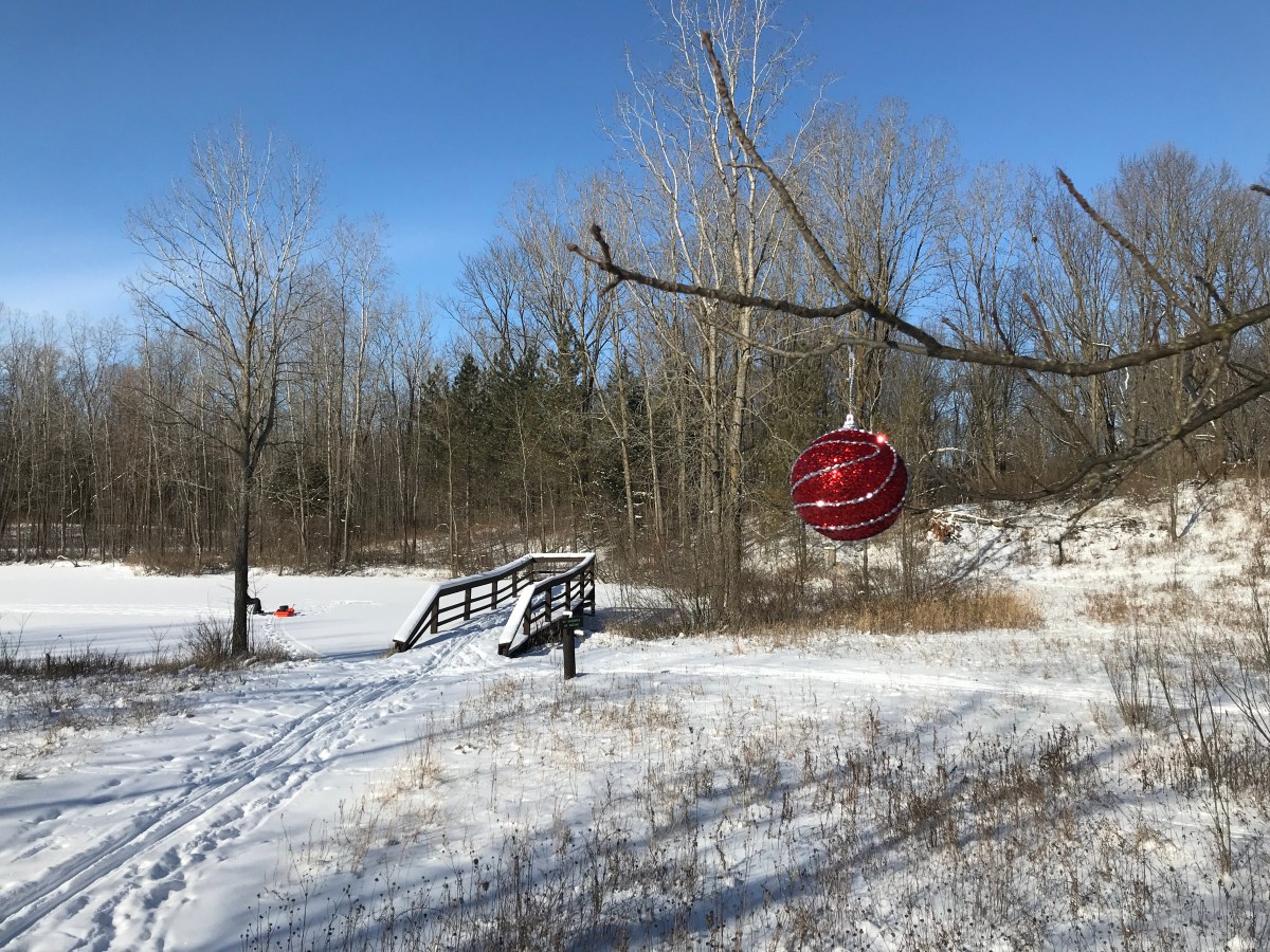 Been seen – Bright, shiny objects!