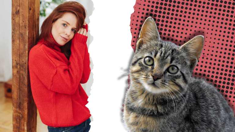 9 Life Lessons I Learned from The Cat I Loved (Who Left Me) – Bright, shiny objects!