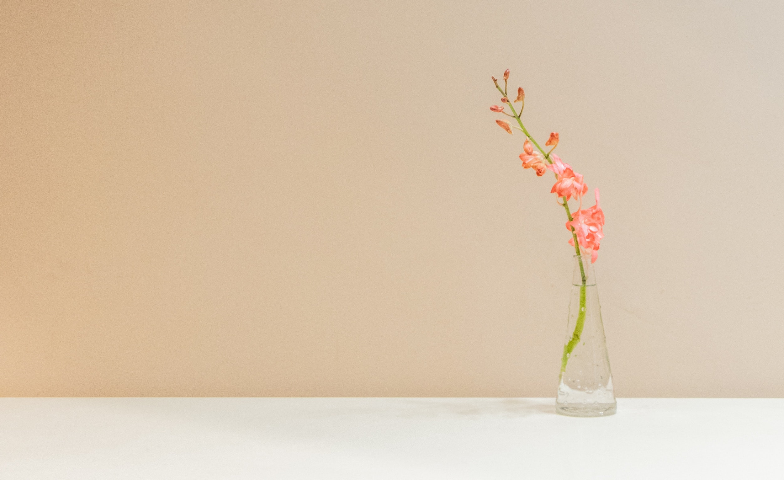 Bright, shiny objects!