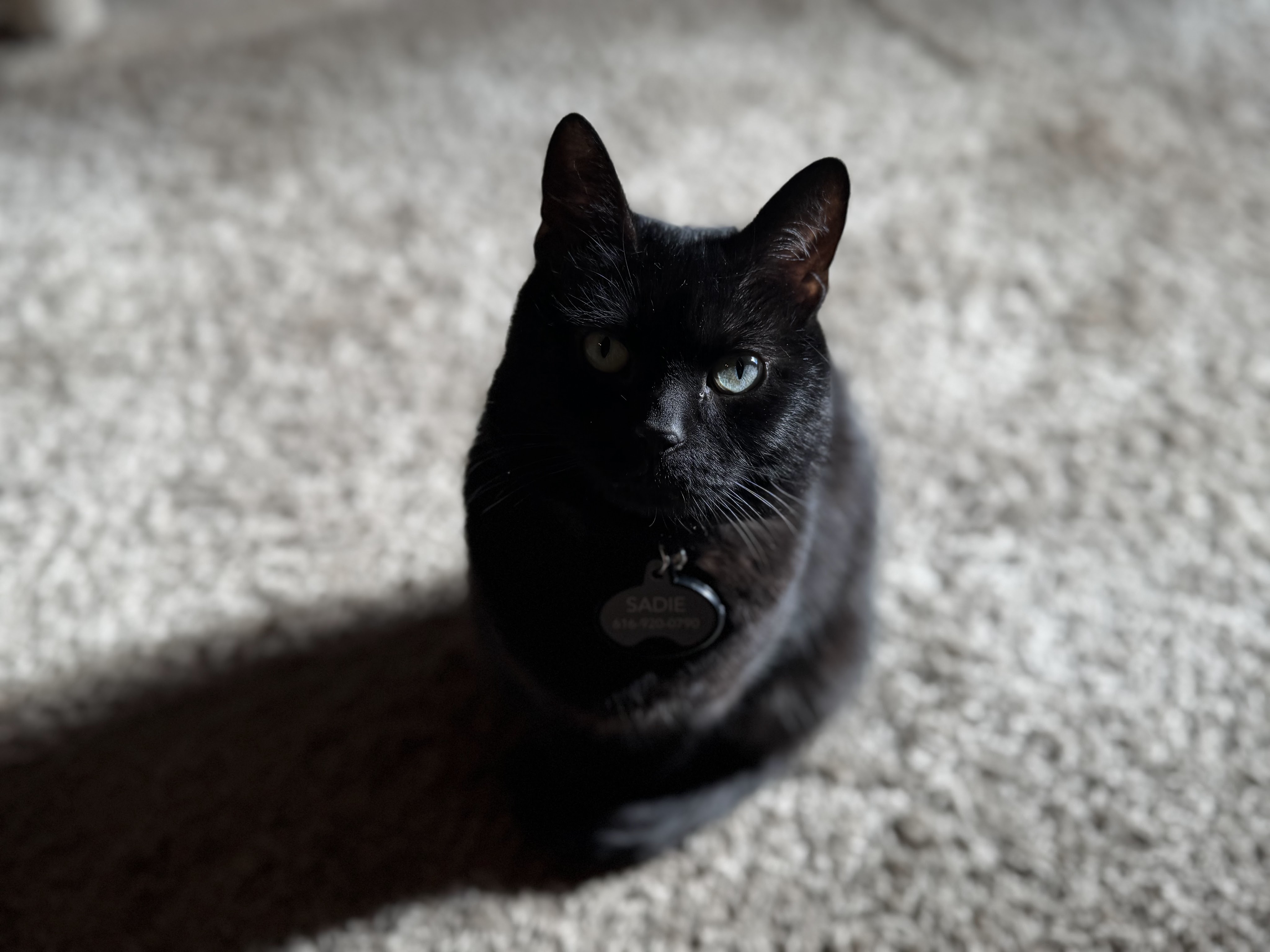 Bright, shiny objects!